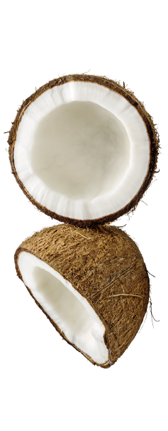 Flavors - Café Tango